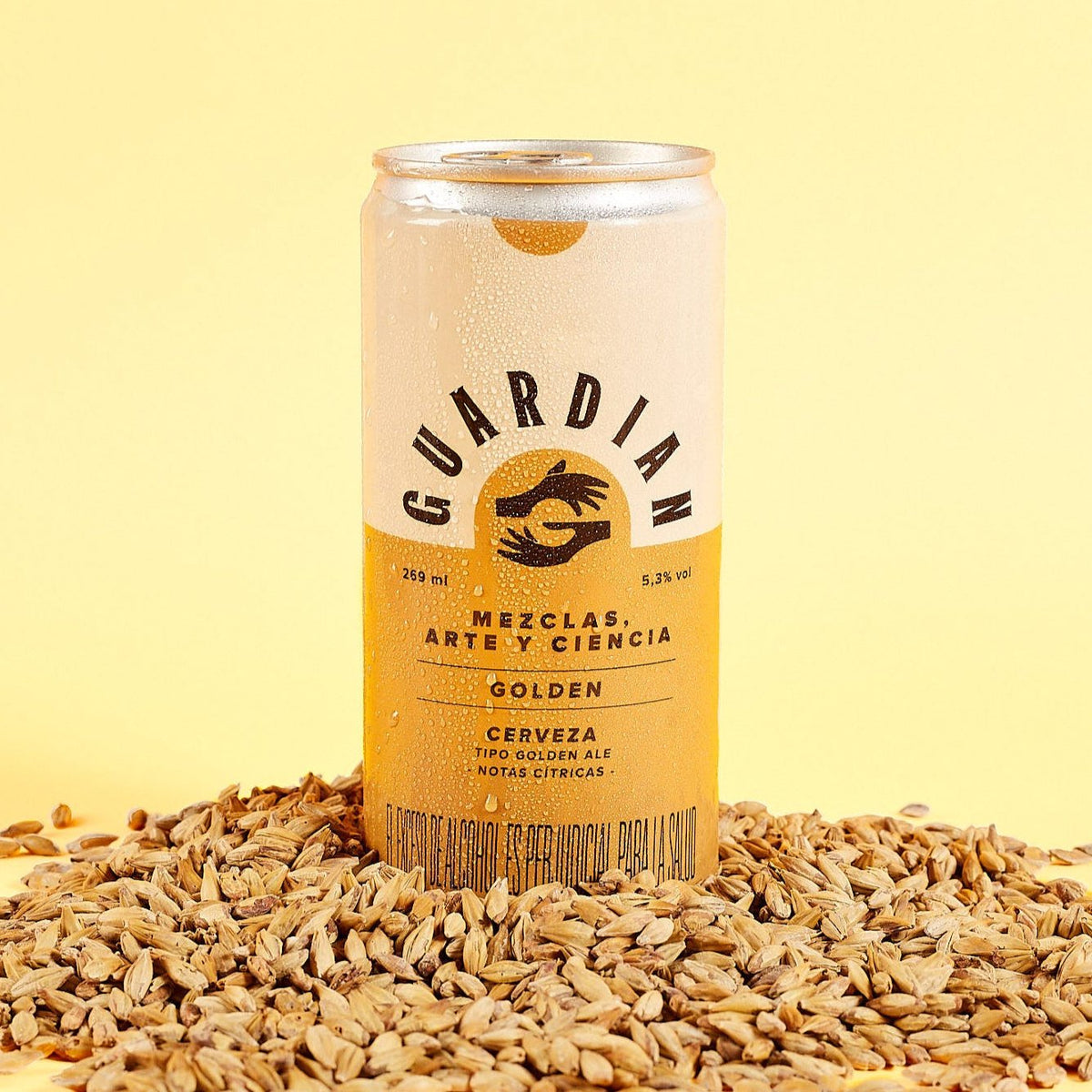 Cerveza Artesanal Golden Ale x 6 – Lemoon